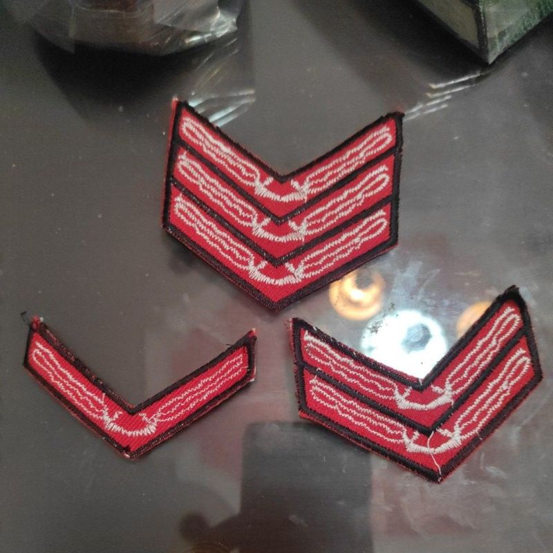 Jual Tanda Kecakapan Umum Penggalang Ramu Rakit Terap | Shopee Indonesia