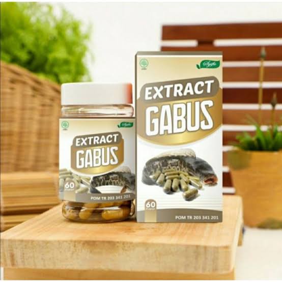 Jual Kapsul Ekstrak Kutuk Premium Syifa | Kapsul Ikan Gabus Albumin isi 60 | Extract Ikan Gabus ...