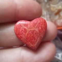 Jual Batu Marjan (Red Coral) | Shopee Indonesia