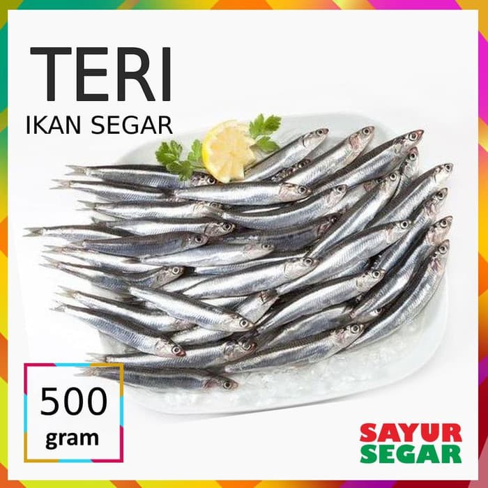 Jual Ikan Teri Basah [250G] | Shopee Indonesia