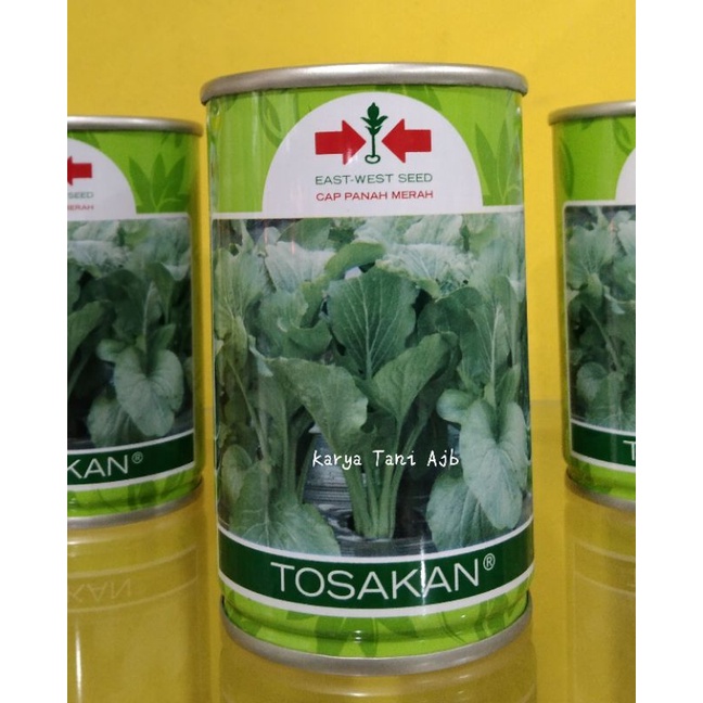 Jual Bibit Benih Sawi TOSAKAN kaleng 100gr (Exp 12 Sept 2025) | Shopee ...