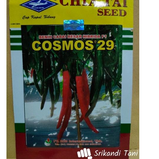 Jual Koleksi Terbaru.. Cabe Besar Cosmos 29 F1 Cabe Besar Hibrida Kemasan 10gr Original Pabrik ...