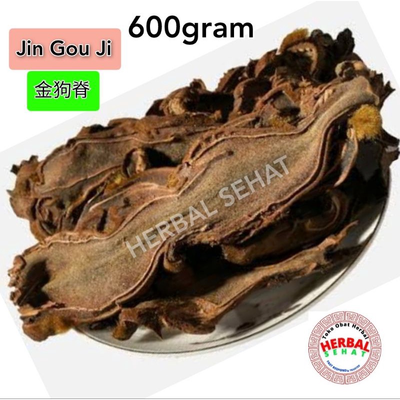 Jual Jin Mao Gou Ji 600 gram - Jin Gou Ji / Gouji 狗脊 Rhizoma Cibotii ...