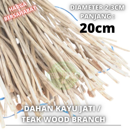 Jual Dahan ranting kayu jati 20cm- macrame Teak Wood Branch | Shopee ...