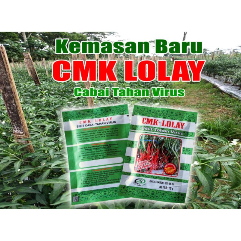 Jual Benih cabe CMK LOLAY EXP 01-09-2026 | Shopee Indonesia
