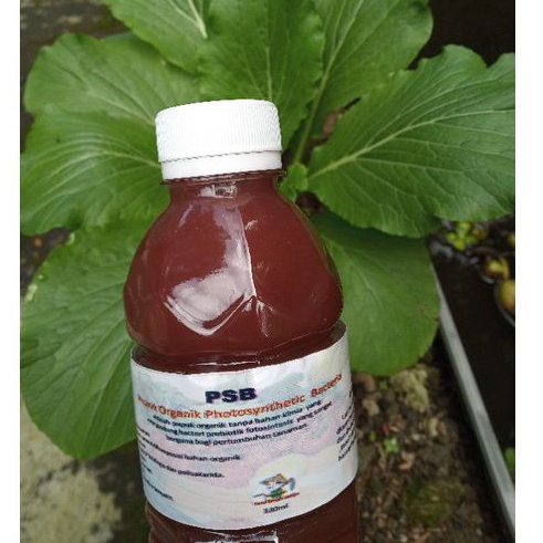Jual Pupuk Daun Organik PSB Photosynthetic Bacteria | Shopee Indonesia