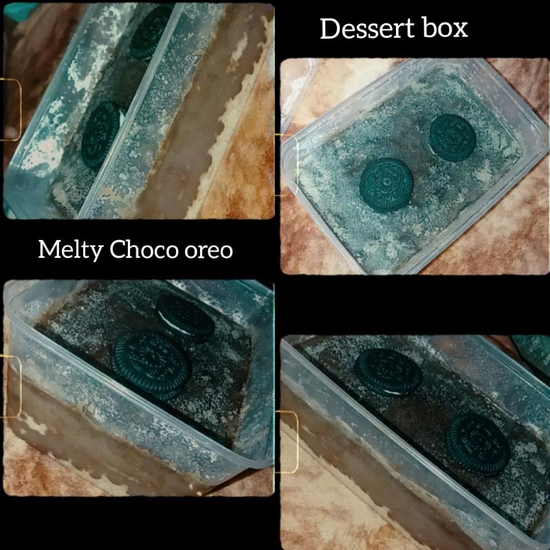 Jual Desert box homemade(ENAK) | Shopee Indonesia
