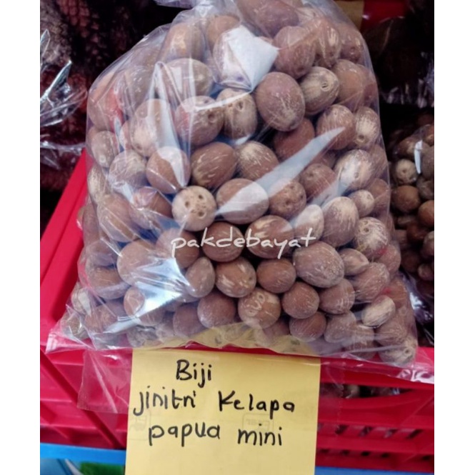 Jual Biji Rotan, Bunga Pinus, Biji Cemara, Jinitri (Biji-Bijian kiloan ...