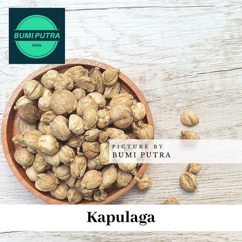 Jual kapulaga / kapolaga 1 kg | Shopee Indonesia