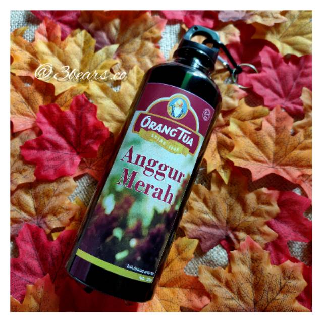 Jual Tumbler Sport / botol minum gambar anggur merah | Shopee Indonesia