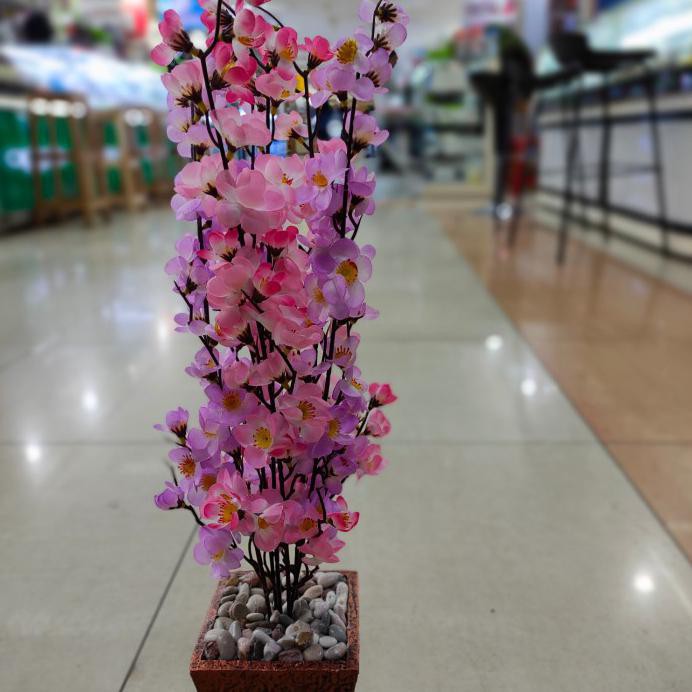 Jual Pohon Imlek Meihoa Sakura Angpao 55 Cm Paket Hiasan | Shopee Indonesia