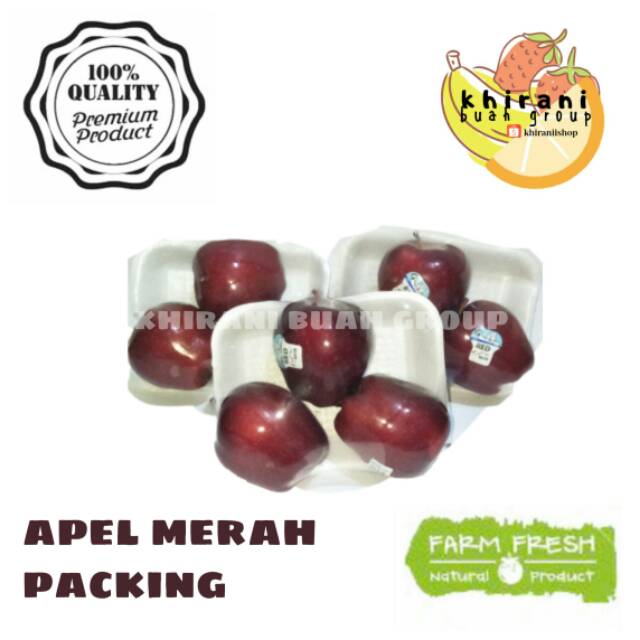 Jual APEL MERAH 1 PACK/ APEL MERAH ISI 3/BUAH APEL/BUAH SEGAR | Shopee ...