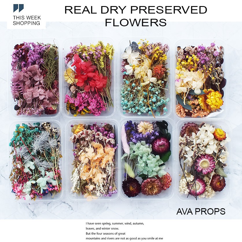 Jual 1 Kotak Bunga Kering Preserved Bunga Awet Rangkai Dried Flower DIY ...