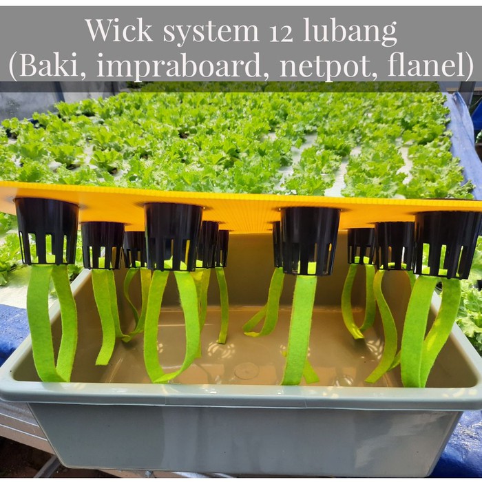 Jual HIDROPONIK MINI 12 LUBANG (baki, impraboard, netpot, flanel ...