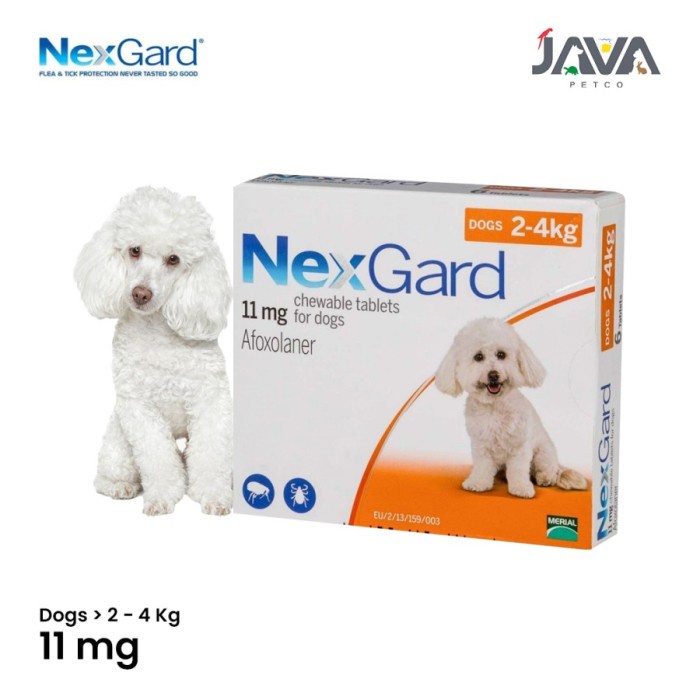 Jual NEXGARD Obat Kutu Anjing Dan Demodex size S (2-4 kg) | Shopee Indonesia