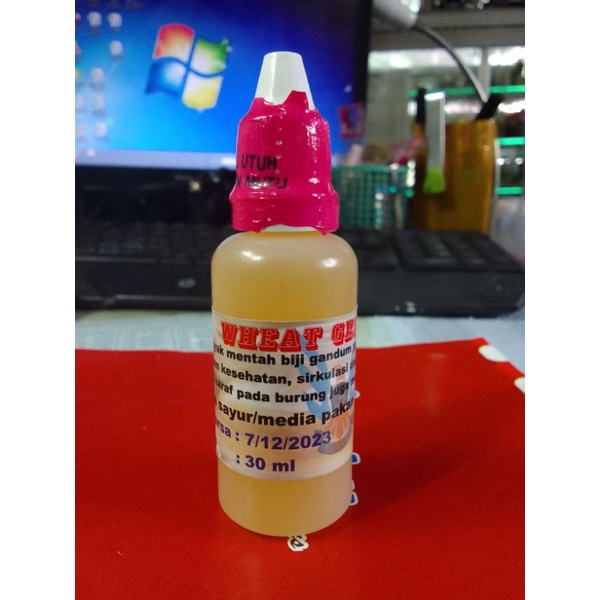 Jual WGO ( WHEAT GERM OIL ) MINYAK GANDUM ASLI | Shopee Indonesia