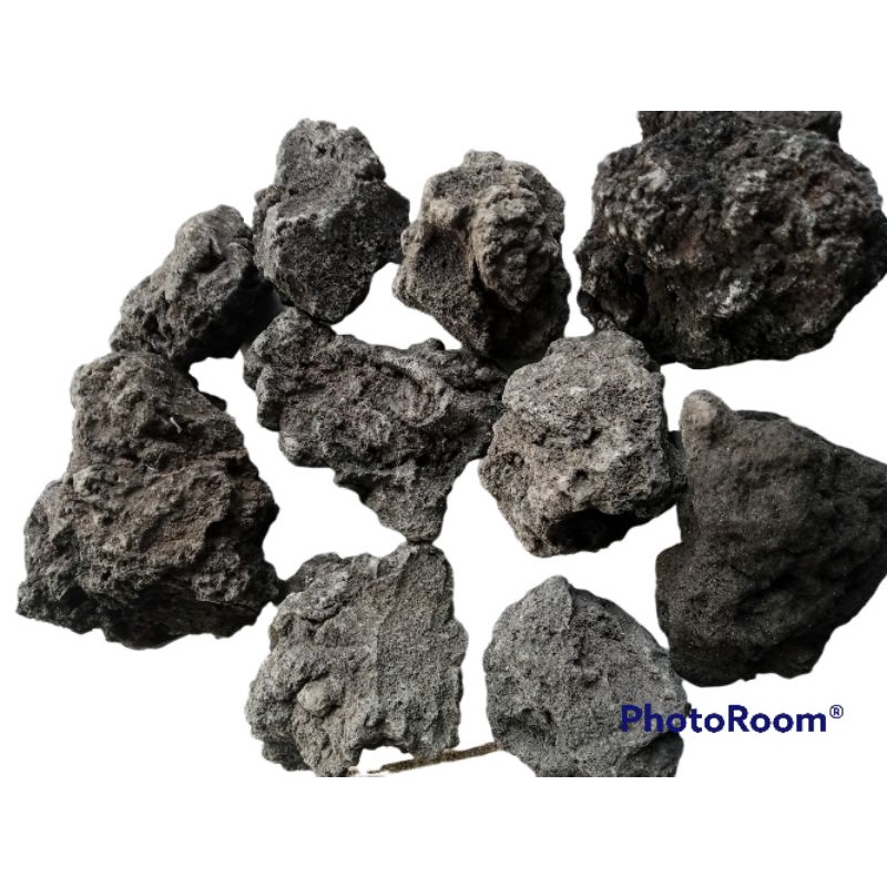 Jual Batu lava rock Filter aquarium/Batu lavarok media filter kolam ...