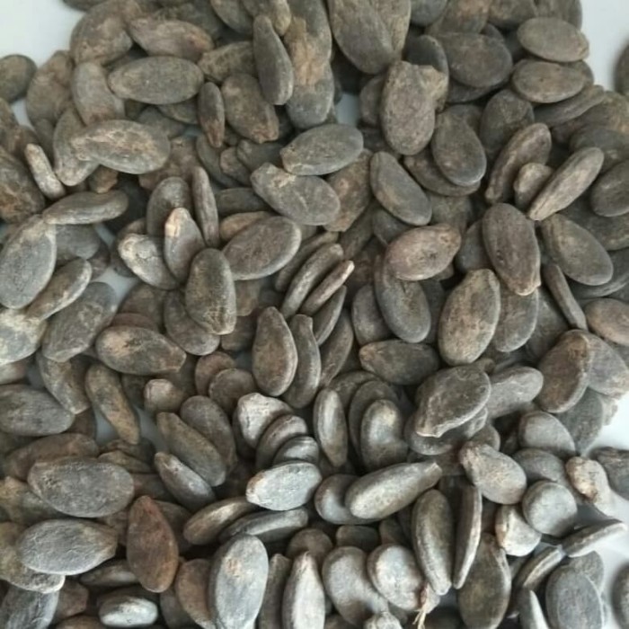 Jual Toko kuaci jadul biji semangka Enak | Shopee Indonesia