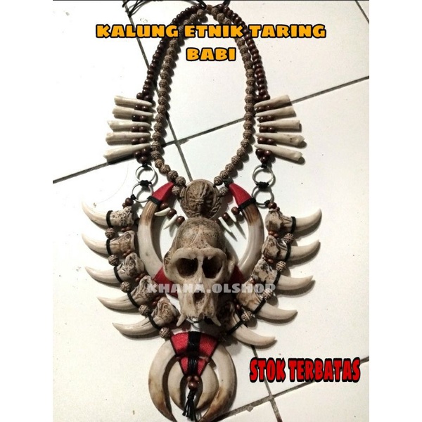 Jual Kalung Taring Babi Etnik Dayak Kalimantan | Shopee Indonesia