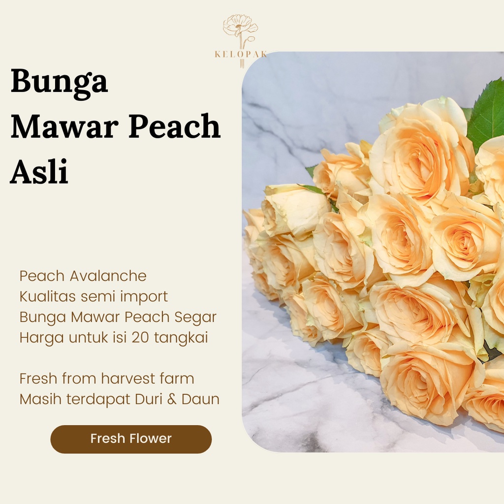 Jual Mawar Asli Peach isi 20 Tangkai/Rose Peach/Yellow Peach Rose/Mawar ...
