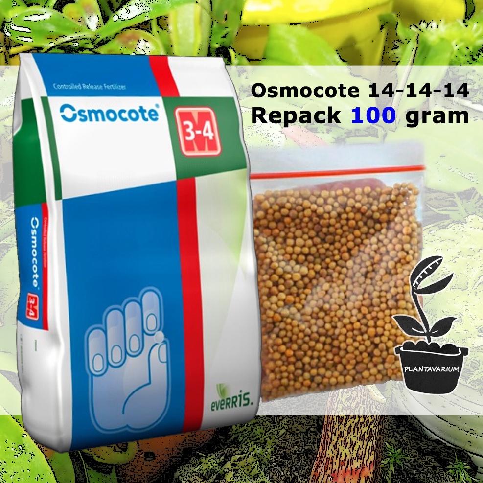 Jual Pupuk Osmocote Everris NPK 14 14 14 Original Belanda 100gram ...