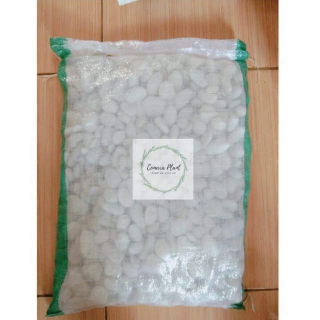 Jual Batu Koral / Batu Putih / Batu Hias Taman / Dekorasi Taman Cantik ...