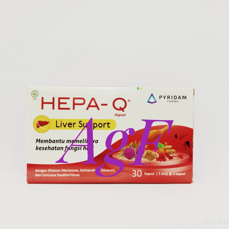 Jual Hepa Q Capsule isi 30 (Pyridam Farma) | Shopee Indonesia