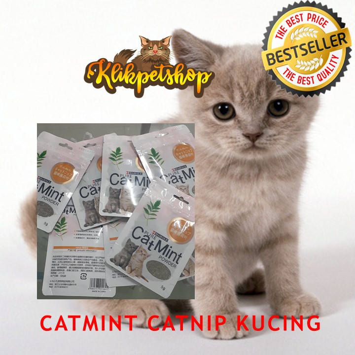 Jual Catnip catmint cat mint - PURE CATMINT POWDER - BIKIN FLY KUCING ...