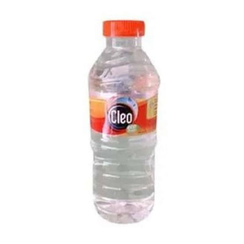 Jual Cleo Air Mineral Botol 200ml 1 Dus | Shopee Indonesia