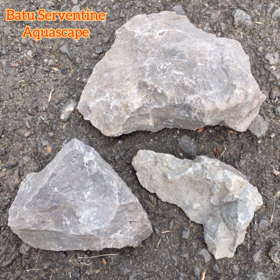 Jual Batu Serventine Serpentine Stone Aquascape Aquarium Paludarium ...