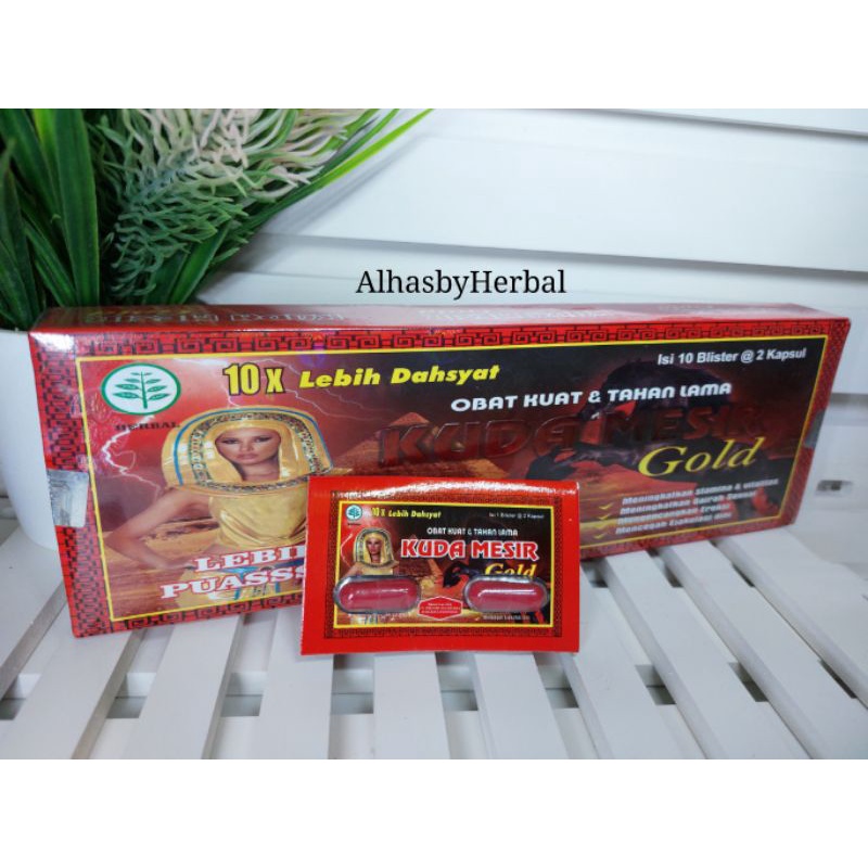 Jual KUDA MESIR GOLD OBAT KUAT & TAHAN LAMA (1box isi 10 sachet) | Shopee Indonesia