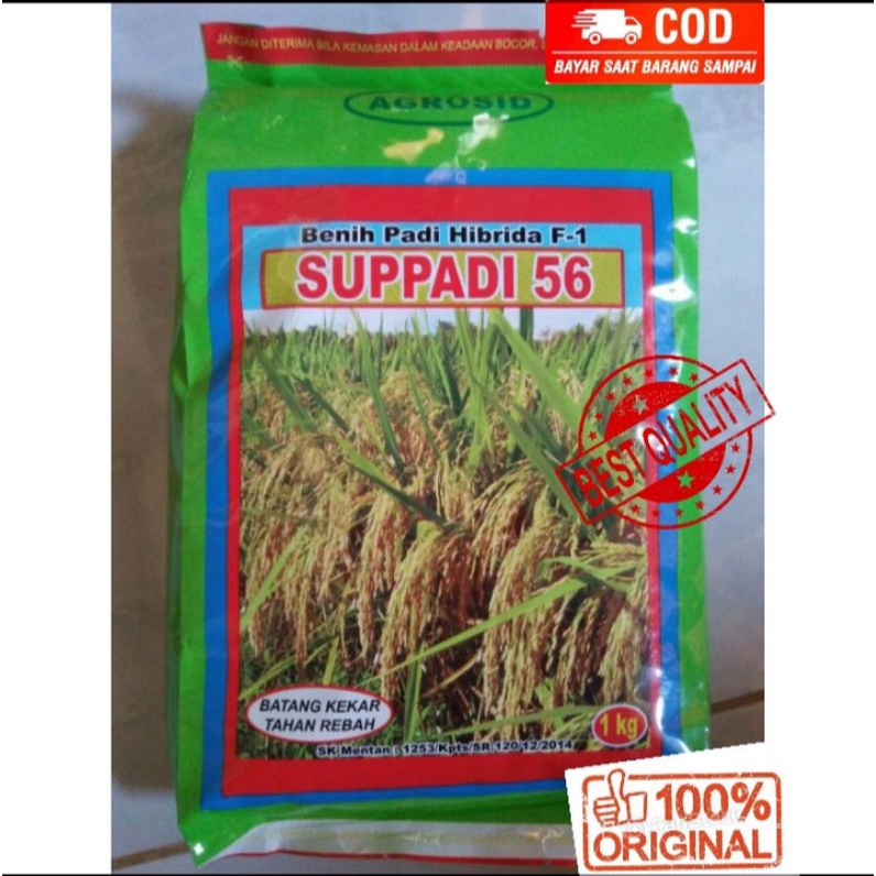 Jual Benih Padi Hibrida SUPPADI 56 Dijamin Asli,8/2024 | Shopee Indonesia