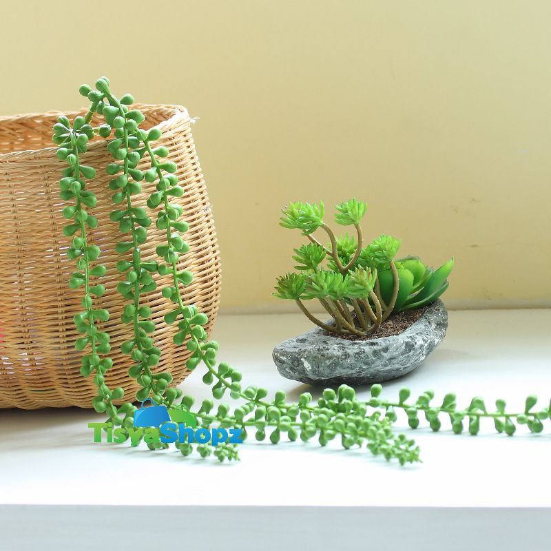 Jual SUKULEN BUNGA PLASTIK AIR MATA IBU / BUNGA PLASTIK GANTUNG (TANPA ...