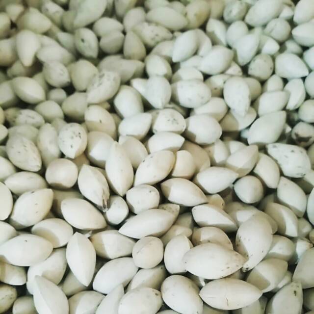Jual Ginko nut /pekko/pekkoi 250gr | Shopee Indonesia