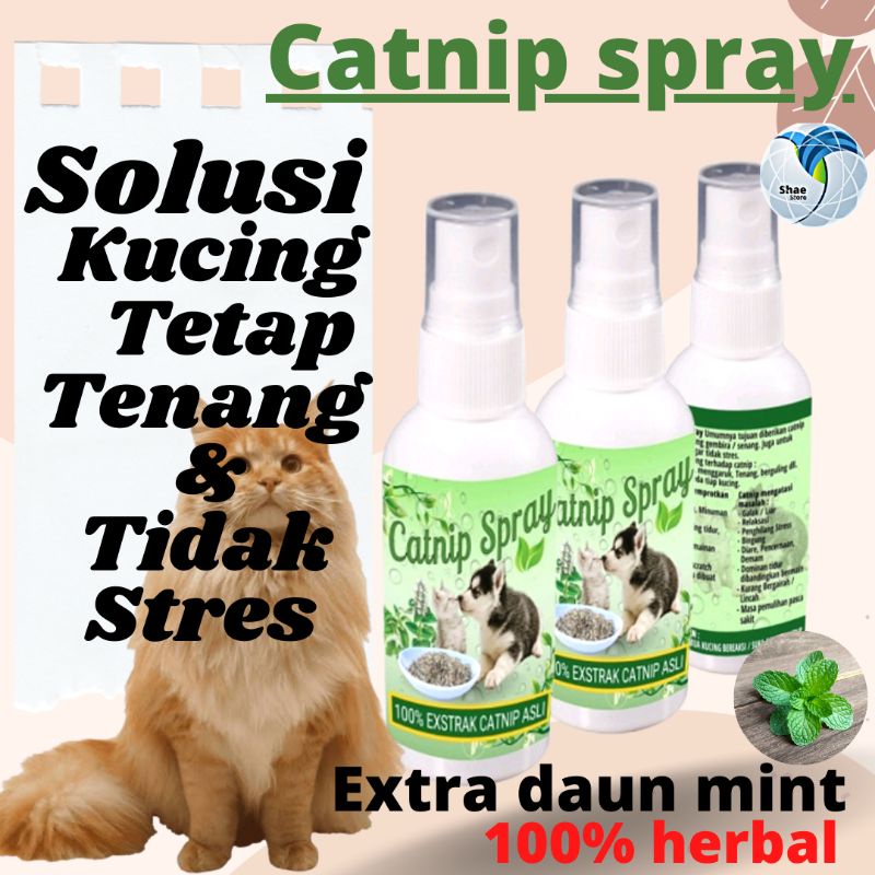 Jual Penghilang Stres Cat Kitten Kucing catnip Spray 60ml | Shopee Indonesia