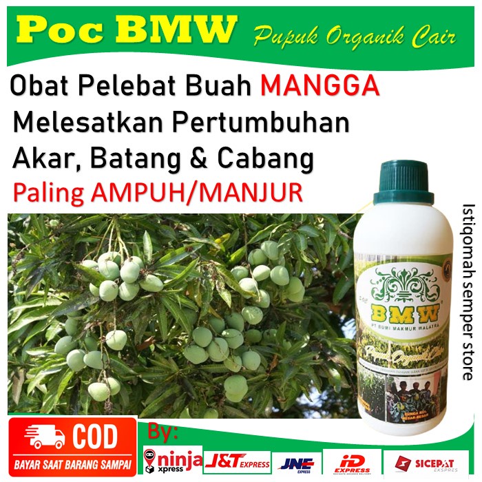 Jual Poc BMW 500 ML Pupuk Organik Cair Pelebat Buah Mangga - Pupuk Perangsang Akar, Batang ...