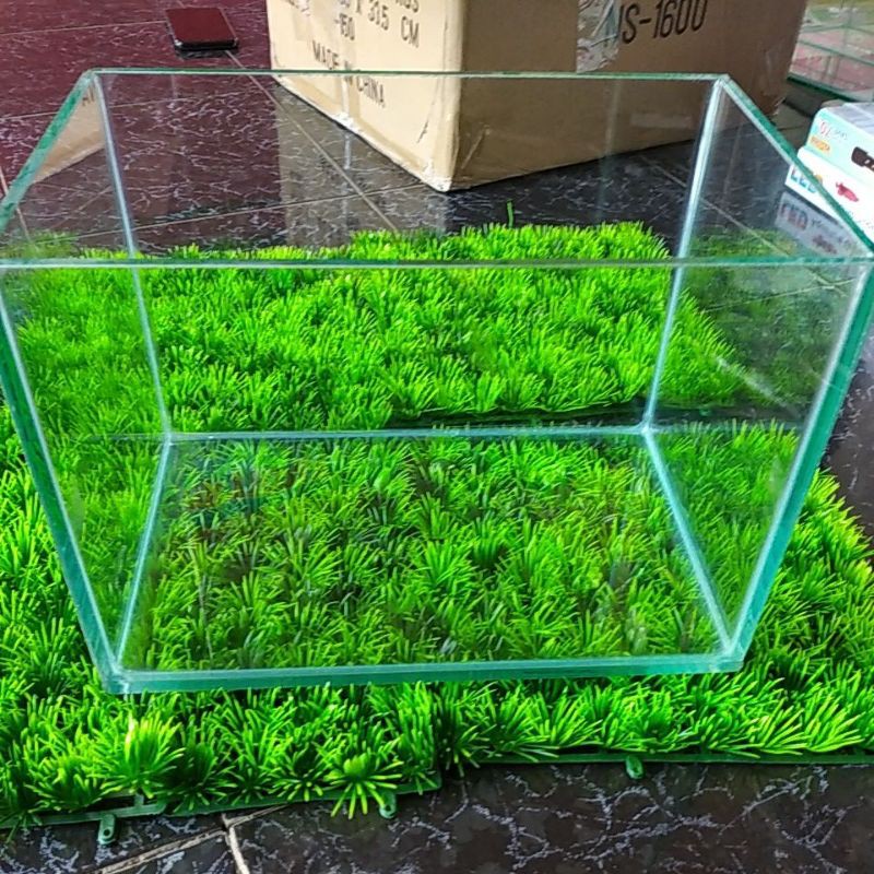 Jual Aquarium 30x20x20 aquascape | Shopee Indonesia
