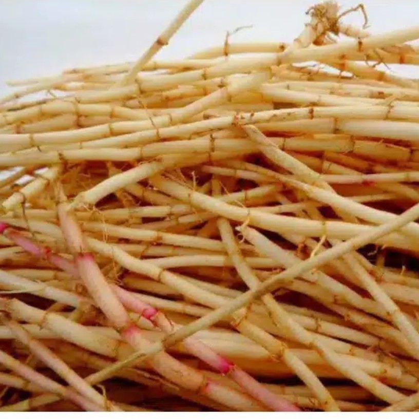 Jual Akar Alang Alang Obat Herbal 250gram | Shopee Indonesia