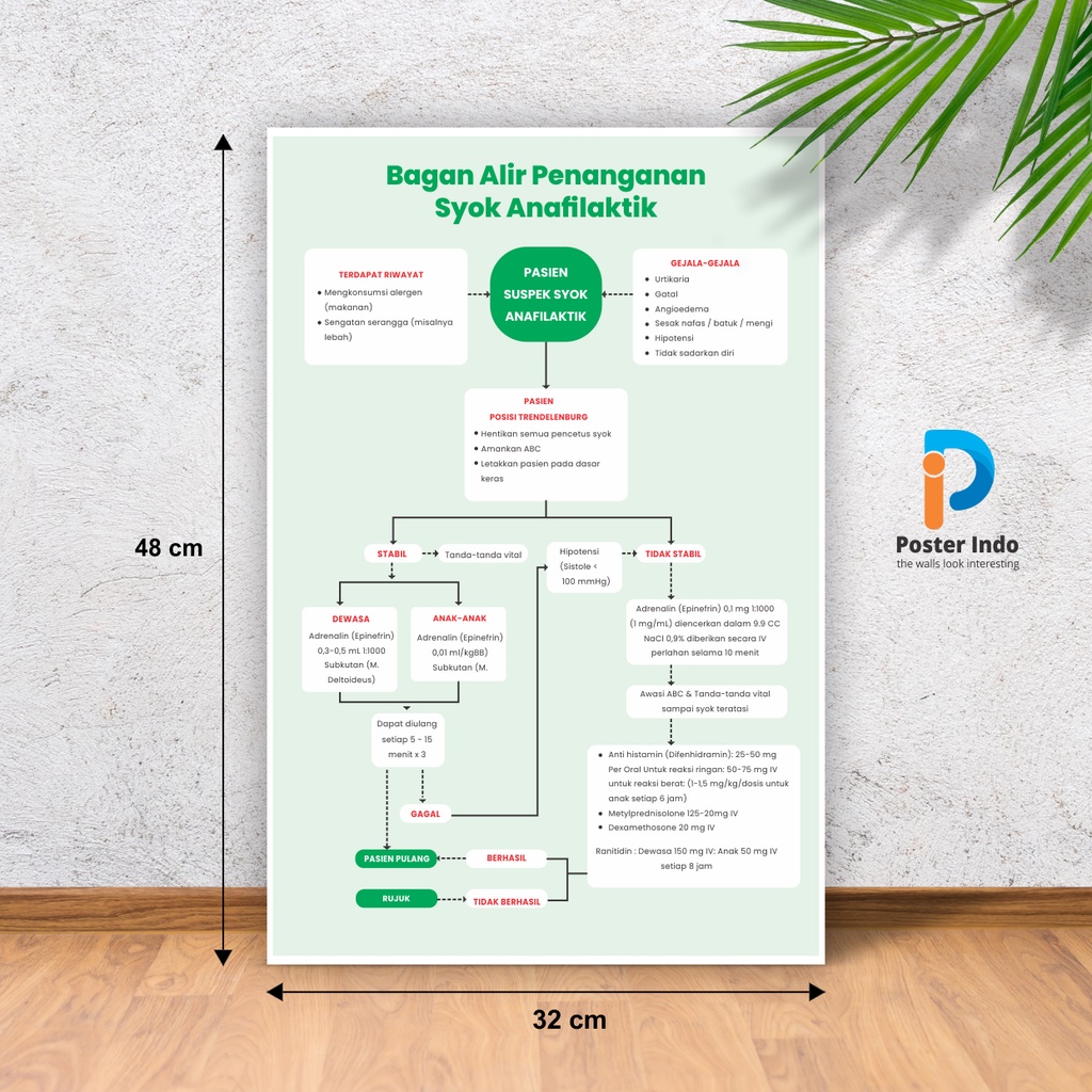 Jual Poster Kesehatan Syok Anafilaktif | Shopee Indonesia