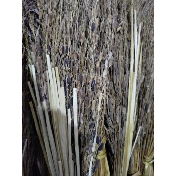 Jual CUCI GUDANG jerami merang ketan hitam original murah | Shopee ...
