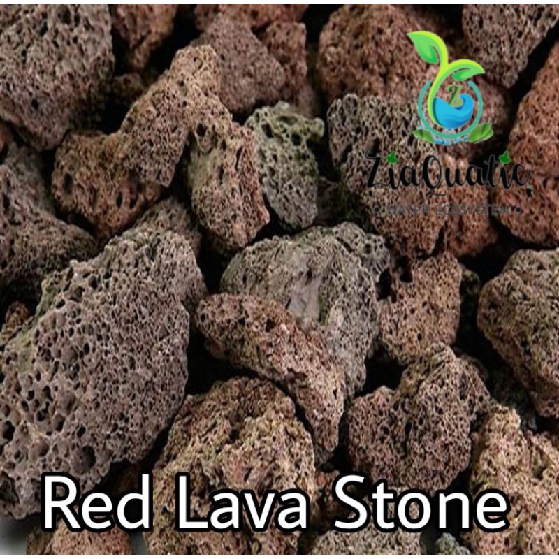 Jual Batu Aquascape/Batu Lavarock Merah/Red Lava Stone/Hiasan Aquarium ...