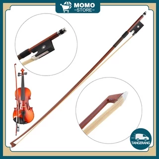 Jual Biola Terlengkap & Harga Terbaru Januari 2026 | Shopee Indonesia
