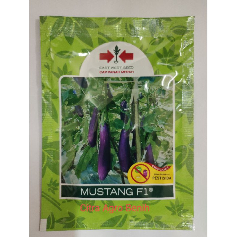 Jual Benih Terong Ungu Mustang F1 isi 1100 Butir | Shopee Indonesia