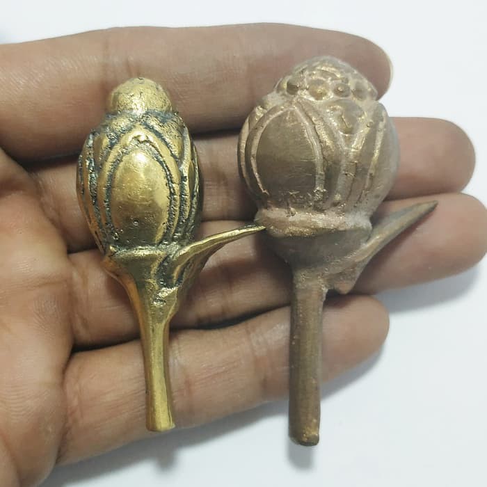 Jual Sepasang Kembang Bunga Kusuma Wijaya Wesi Aji | Shopee Indonesia Jual Sepasang Kembang Bunga Kusuma Wijaya Wesi Aji | Shopee Indonesia