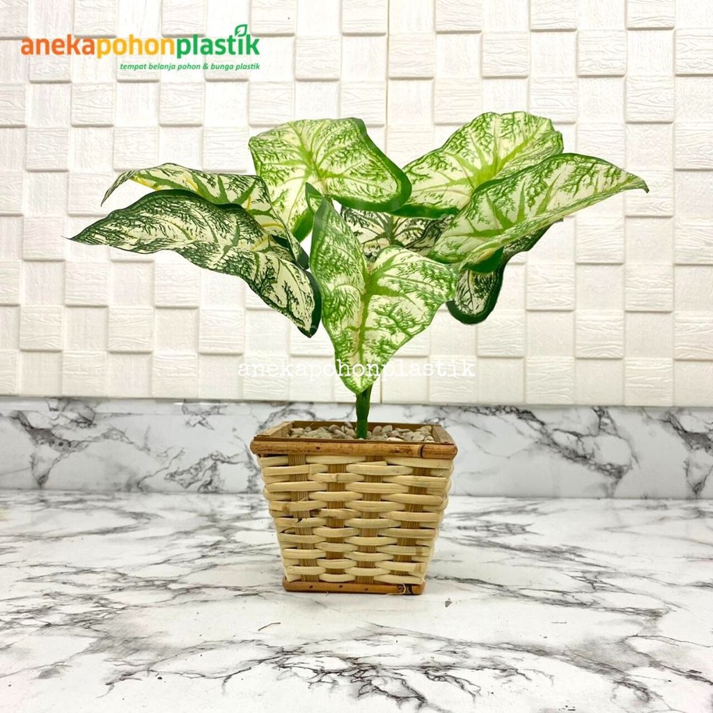 Jual Pohon Palsu Daun Bahagia Corak Hijau Putih Vas Bambu Tanaman ...