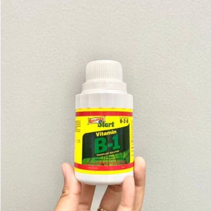 Jual Nanem Taneman - Pupuk VITAMIN B1 liquinox 100ml | Shopee Indonesia