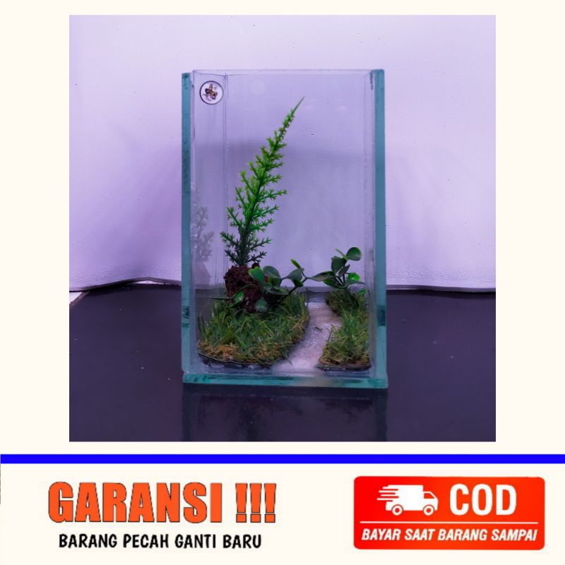 Jual AQUASCAPE MINI ARTIFICIAL/ SOLITER CUPANG/ AQUASCAPE MINI CUPANG ...