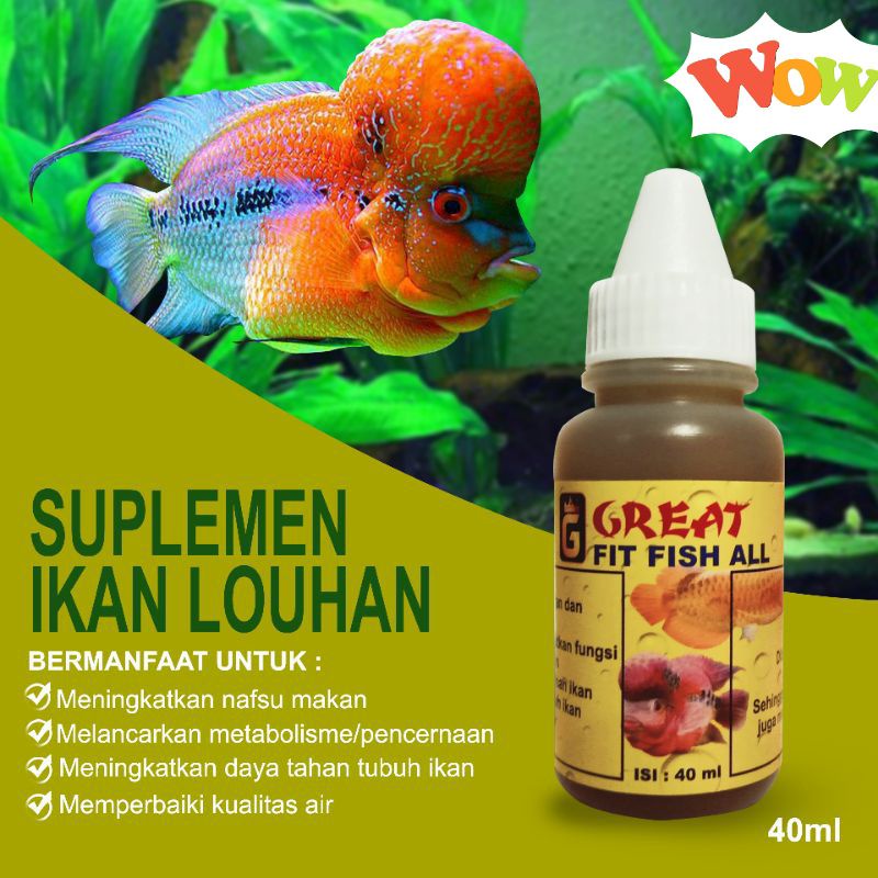 Jual SUPLEMEN VITAMIN IKAN LOUHAN CHANNA ARWANA | Shopee Indonesia