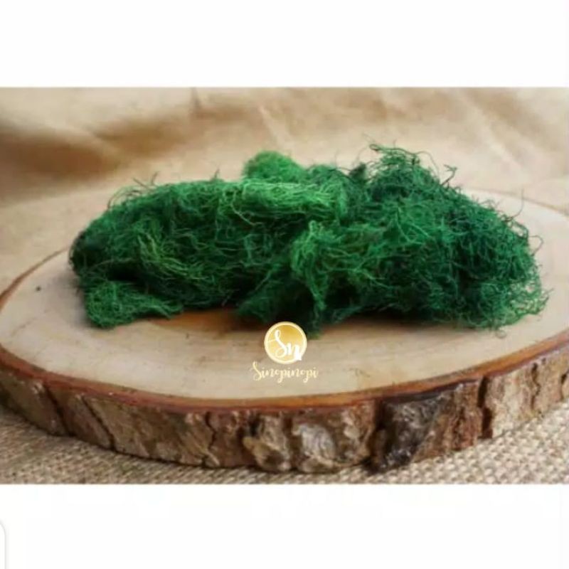 Jual KAYU ANGIN HIJAU 25gr | RUMPUT BAHAN KERAJINAN DRIED FLOWER RUSTIC ...