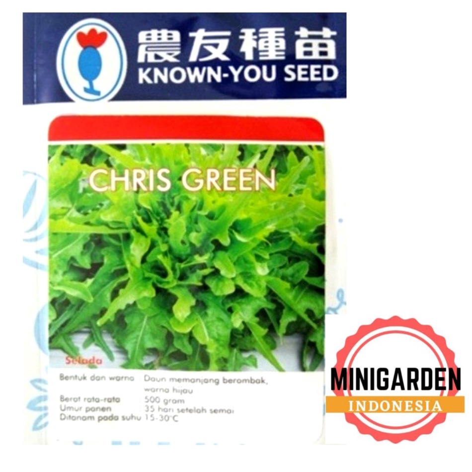 Jual SELADA CHRIS GREEN 20 GRAM PACK BESAR Benih Selada Hijau green lettuce f1 hibrida Known You ...